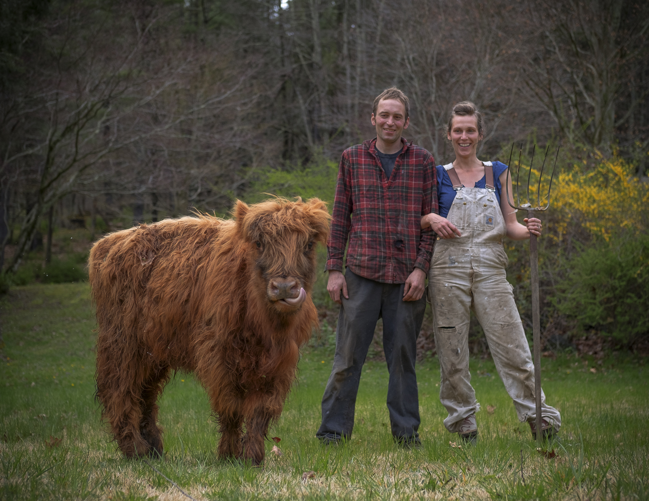 Agriculture in Cornwall - Cornwall CT