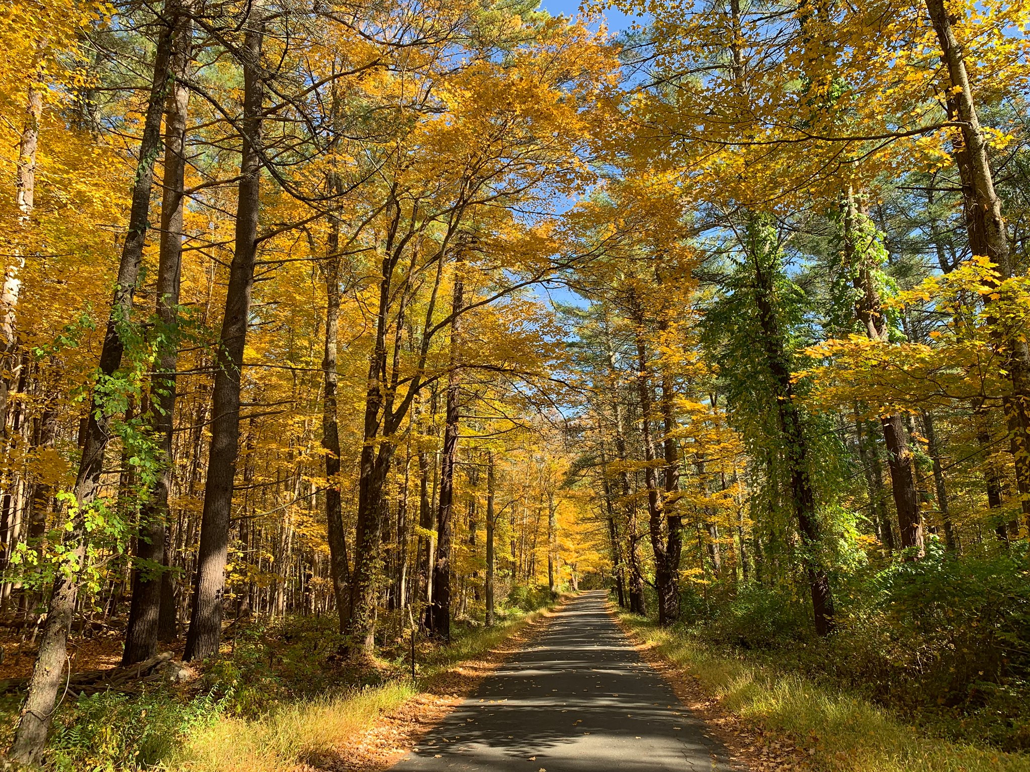 Planning & Zoning - Cornwall CT