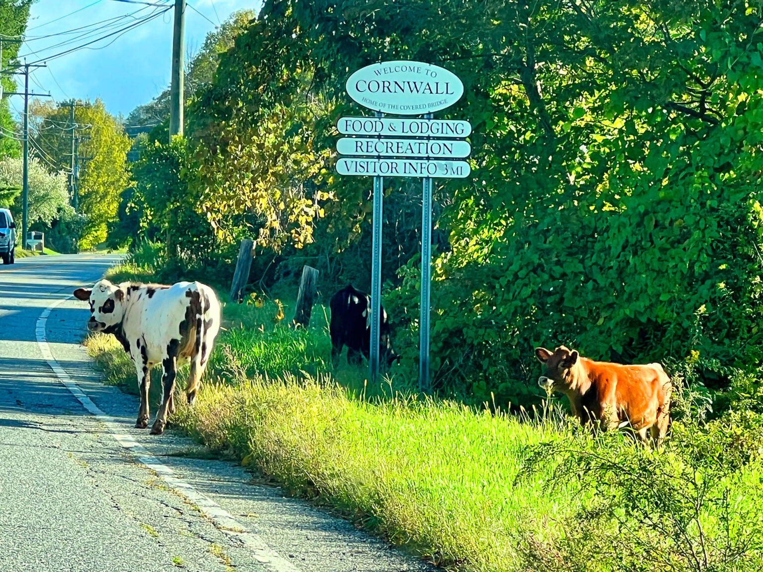 Cornwall Featured in The 7 Most Picturesque Small Towns In Connecticut ...