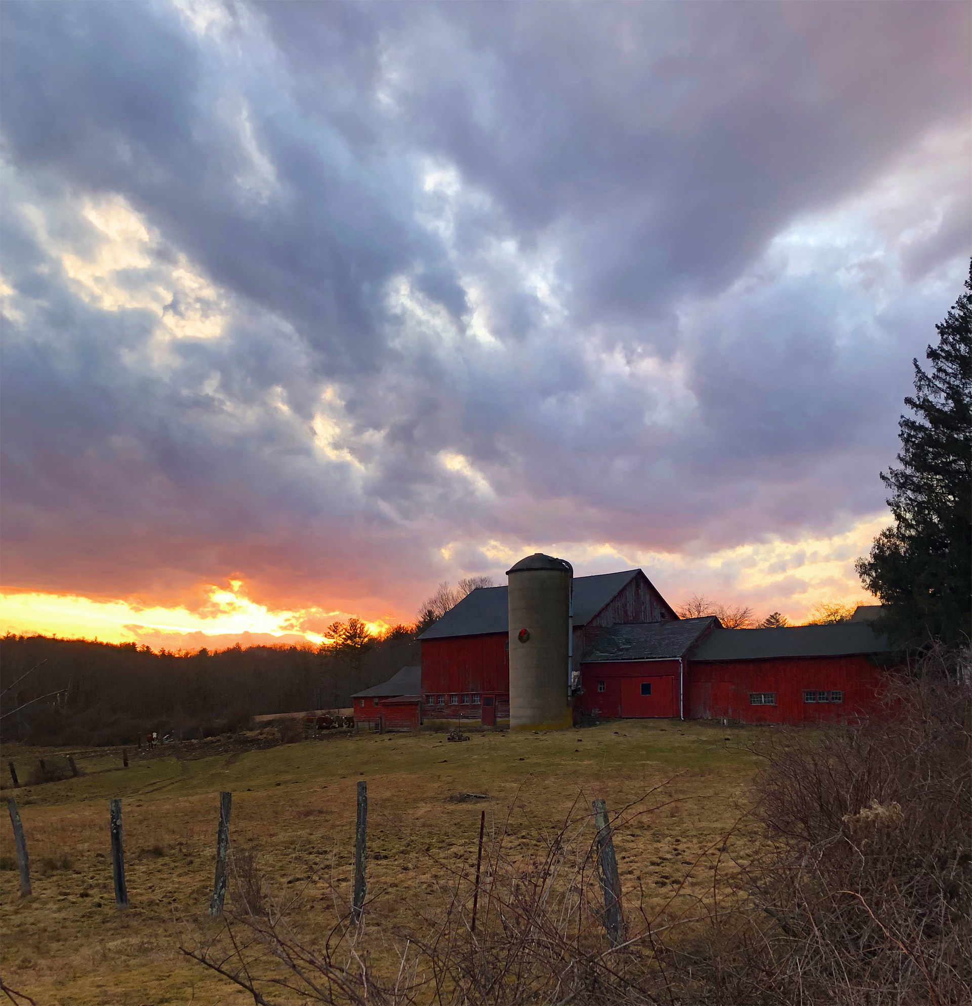 2023 In Pictures - Cornwall CT