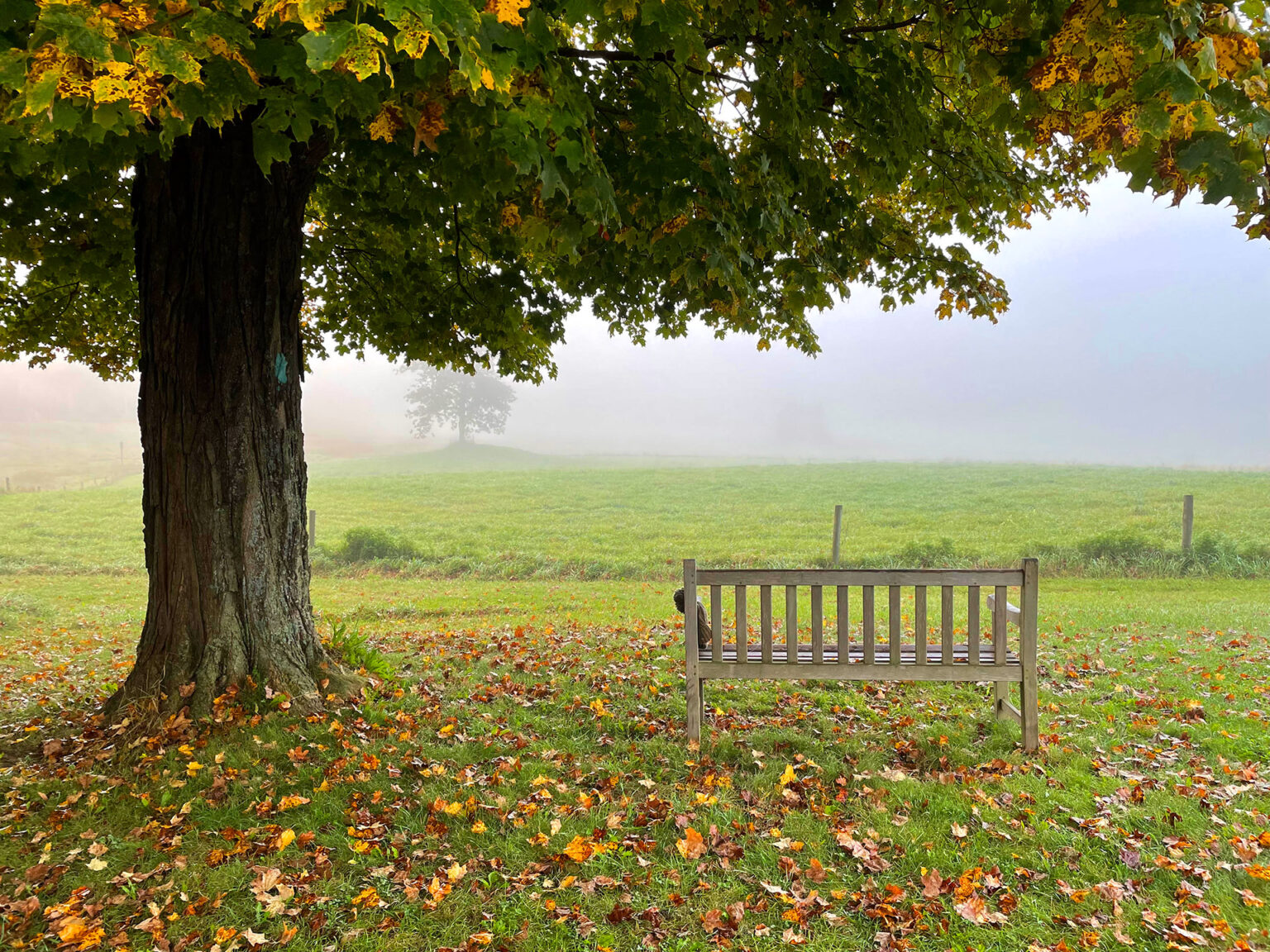 West Cornwall Covered Bridge - Cornwall CT