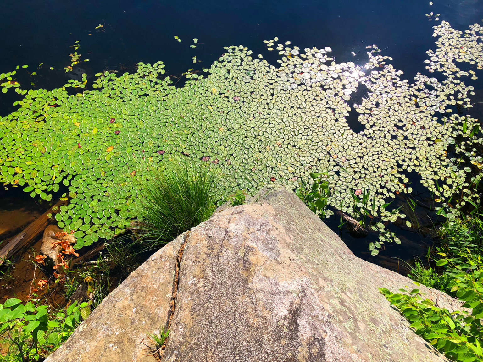 Cornwall CT - Greenest Town in Connecticut